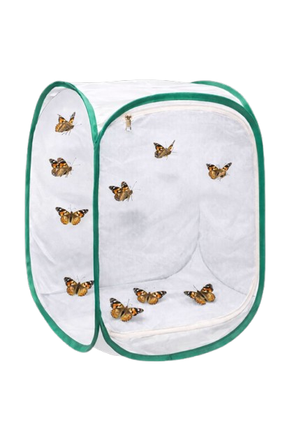Butterfly Journey Kits